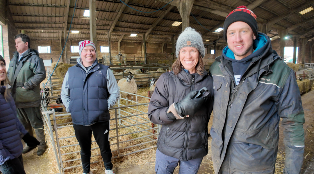 Sheepishly Me, Sandi Brock