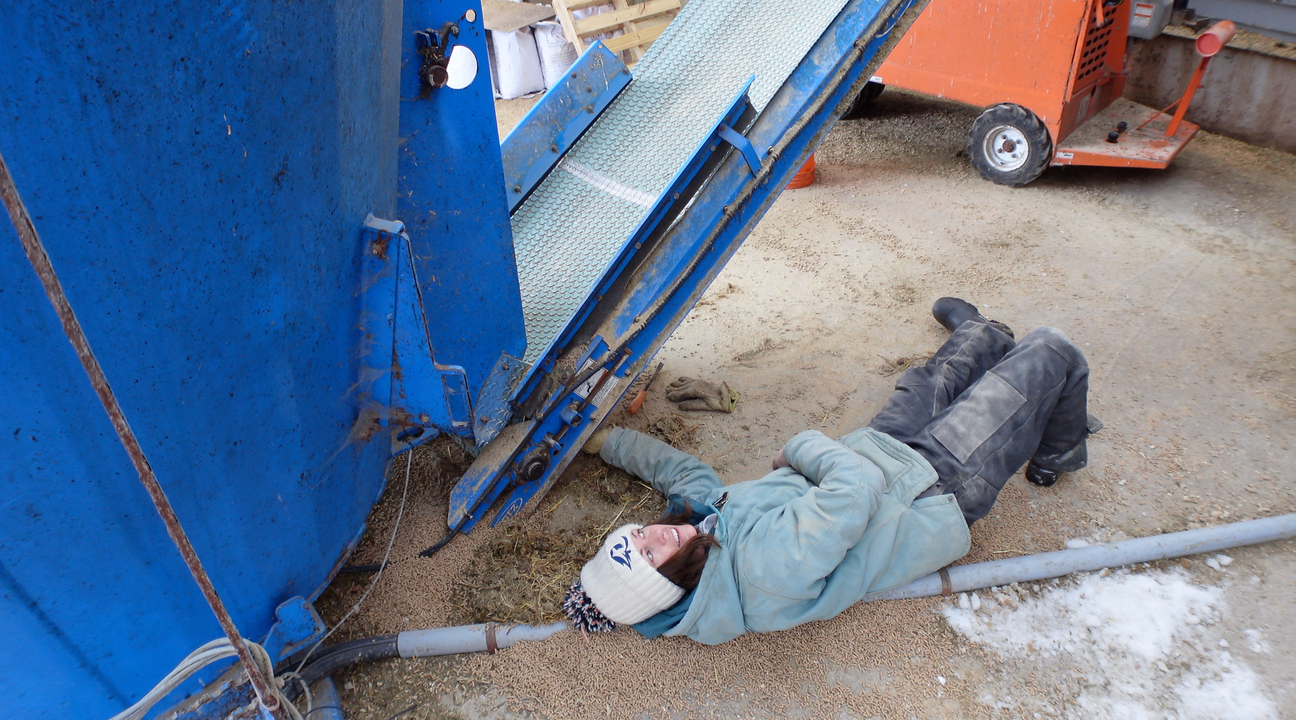 Sheepishly Me – Opening Soon